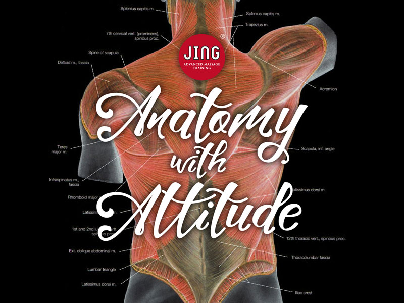 Bodywork Beginnings Online Learning Resources Jing Advanced Massage
